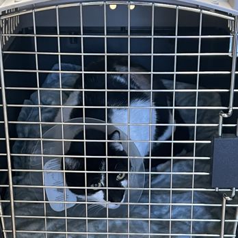 LOMA LINDA ANIMAL HOSPITAL - Updated August 2024 - 227 Photos & 680 ...