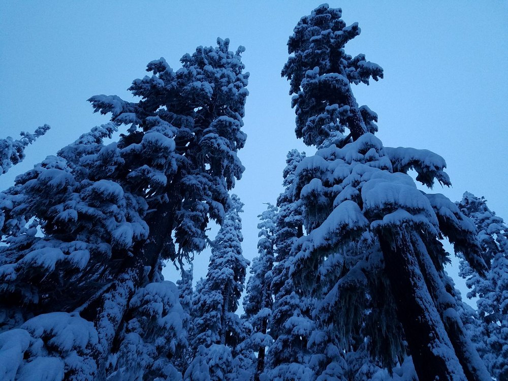 BENNETT PASS SNOWPARK - Natl Forest Develop Road 3550 Rd, Mount Hood ...
