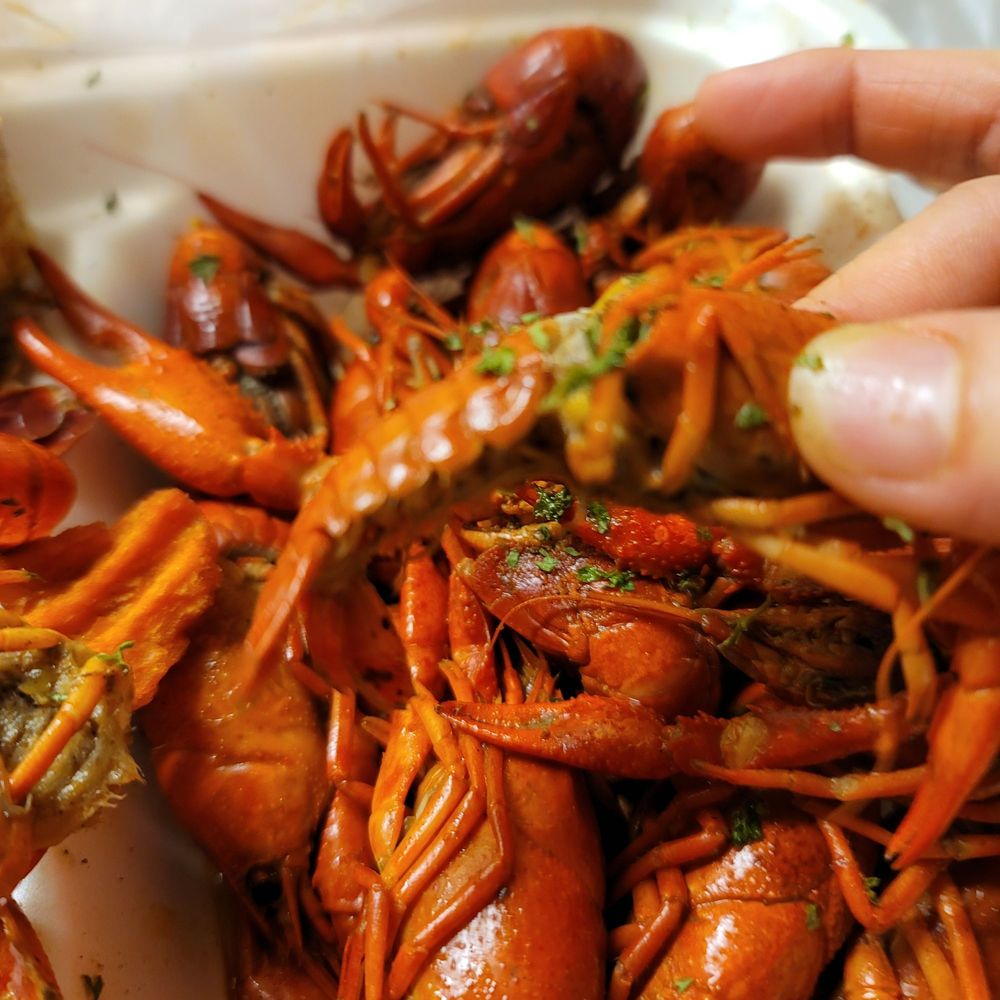CRAWFISH SHACK SEAFOOD - Updated April 2025 - 507 Photos & 822 Reviews ...