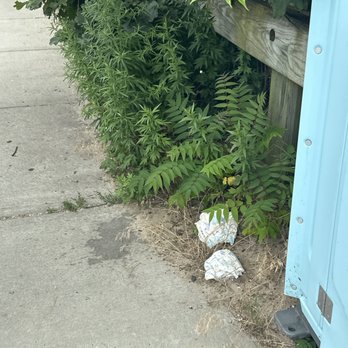 COREY BEACH - Updated August 2025 - 94 Photos & 16 Reviews - 1 Corey ...