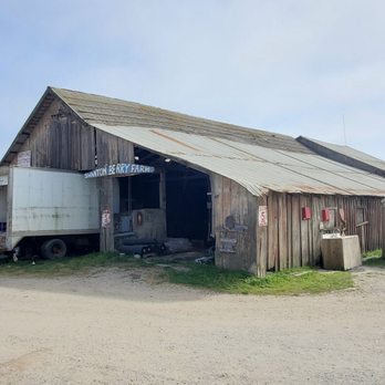 SWANTON BERRY FARM with photos - Updated August 2024 - 1105 Photos ...
