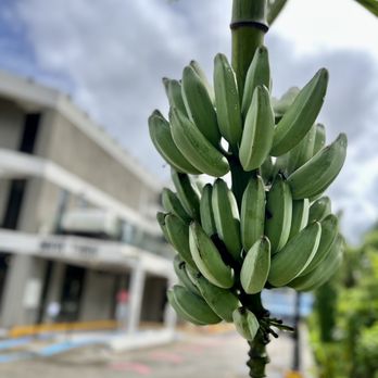 SLOWALK COFFEE ROASTERS - Updated June 2024 - 121 Photos & 19 Reviews ...