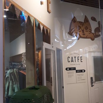 CATFE - Updated December 2025 - 466 Photos & 117 Reviews - 88 West ...