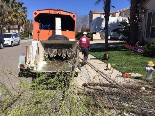 HARDIN’S TREE SERVICE - Updated October 2025 - 29 Photos & 67 Reviews ...