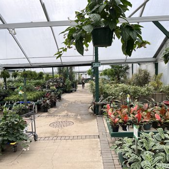 FLOWER WORLD - Updated May 2024 - 264 Photos & 190 Reviews - 9322 196th ...