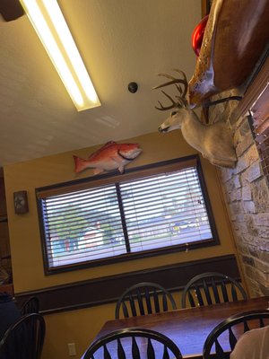 TODDLE INN RESTAURANT - Updated June 2025 - 136 Photos & 86 Reviews ...