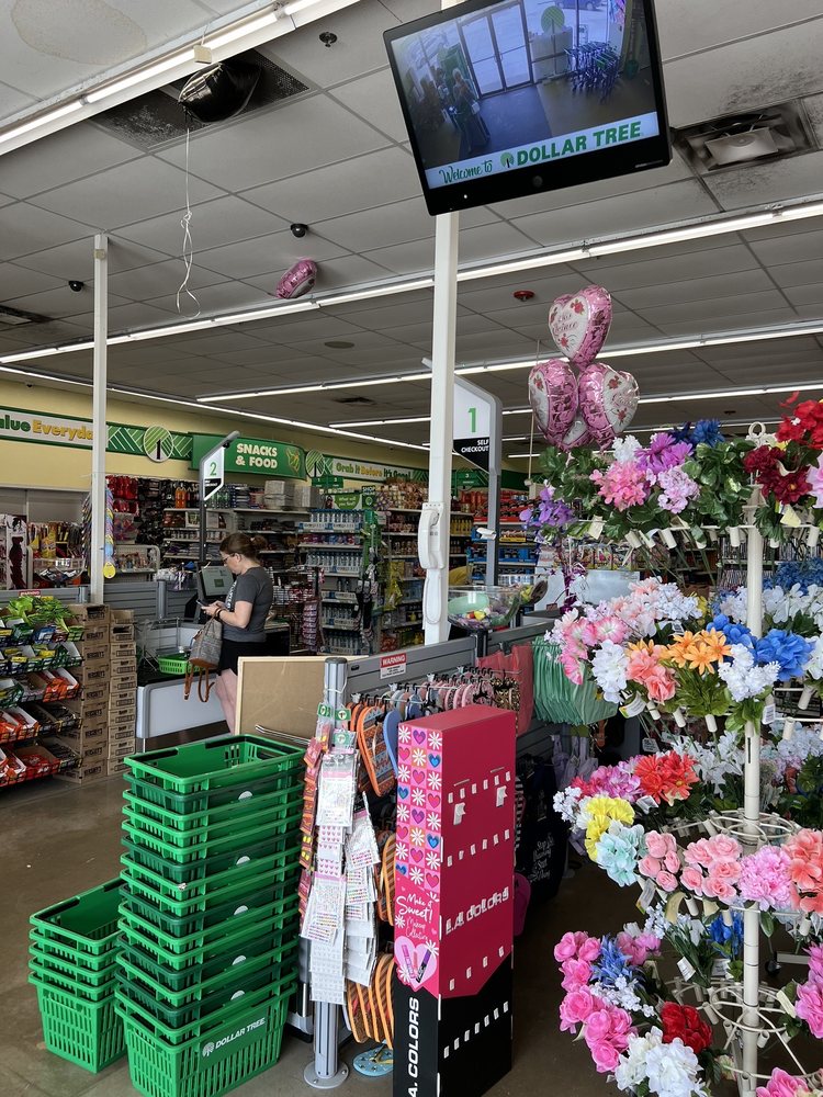 DOLLAR TREE - Updated December 2025 - 40 Photos & 17 Reviews - 11901 ...
