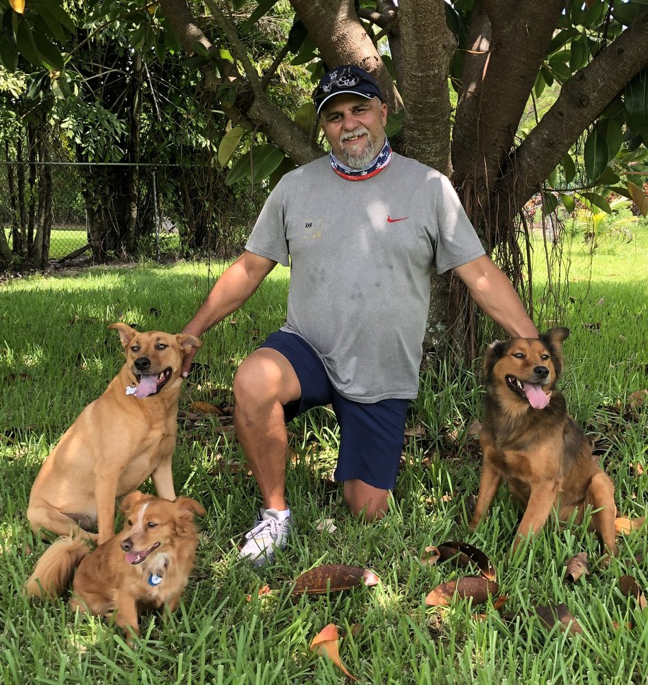 HAPPY K9 CLUB - Updated January 2025 - 29 Photos - Coconut Creek ...