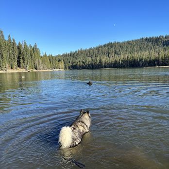 BUCKS LAKE CAMPGROUND - Updated December 2025 - 22 Photos - 280 Bucklin ...