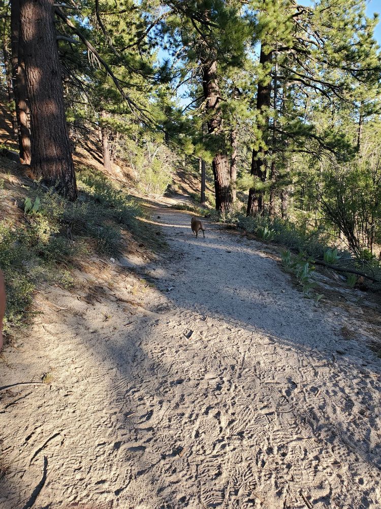SPOONER LAKE TRAILHEAD - Updated June 2024 - 159 Photos & 18 Reviews ...