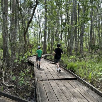 BARATARIA PRESERVE - Updated December 2025 - 283 Photos & 55 Reviews ...