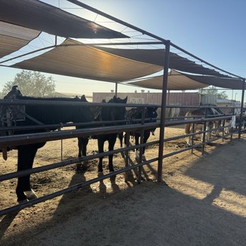 MACDONALD’S RANCH - Updated October 2025 - 532 Photos & 291 Reviews ...