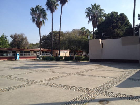 CREA - Updated July 2025 - 15 Reviews - Vía Rápida Oriente, Tijuana ...