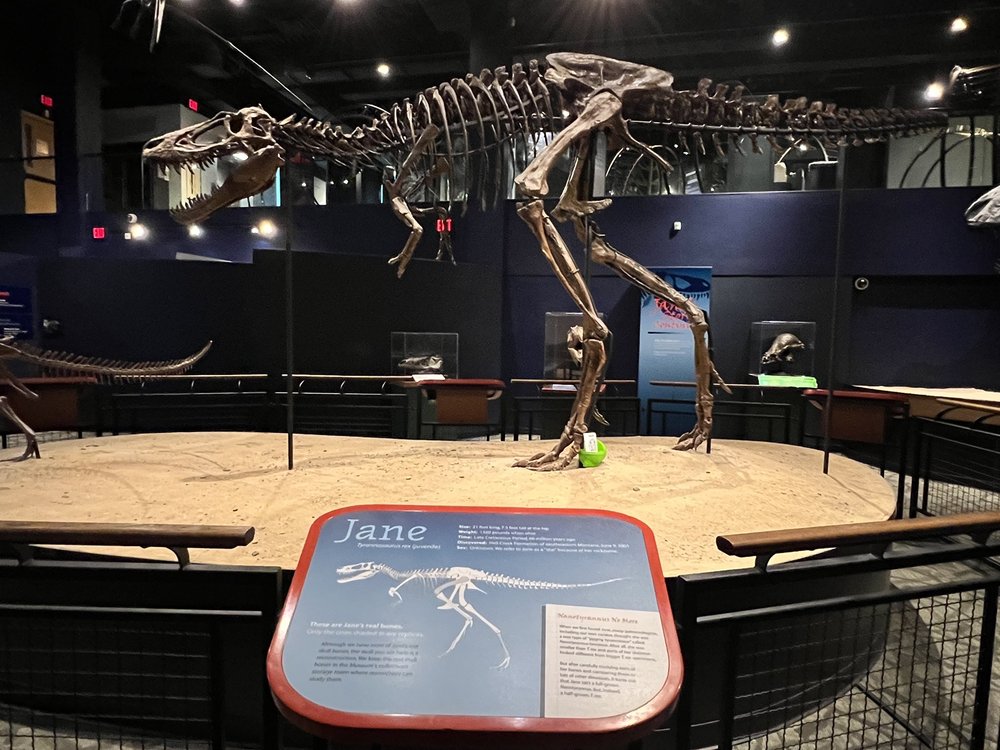 BURPEE MUSEUM OF NATURAL HISTORY - 47 Photos & 22 Reviews - 737 N Main ...