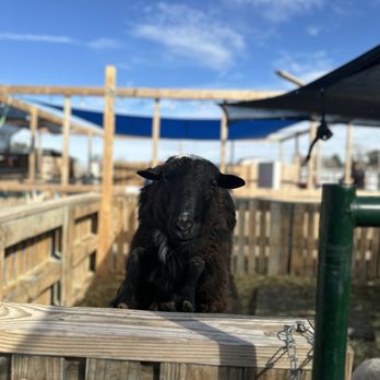 BARBER FAMILY FARM - Updated May 2025 - 317 Photos & 39 Reviews - 354 B ...