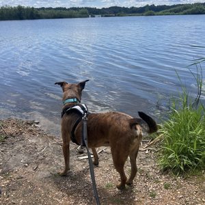 BLACKHAWK PARK - Updated July 2025 - 40 Photos - 1629 Murphy Pkwy ...