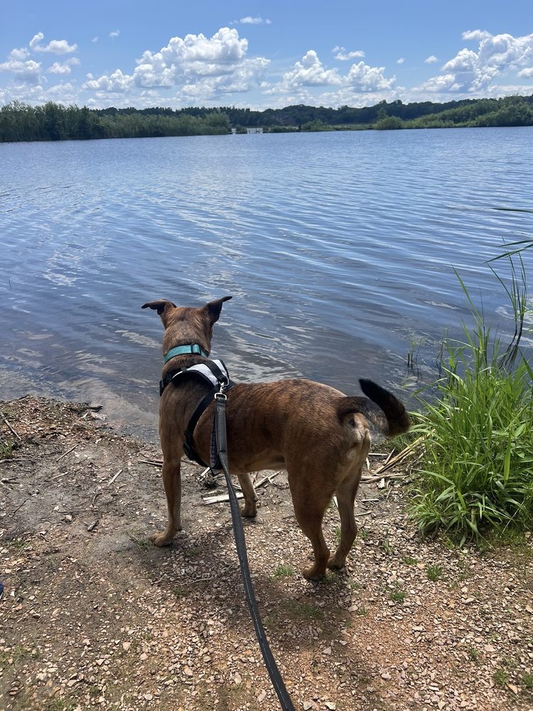 PURGATORY CREEK PARK - Updated January 2026 - 80 Photos - 13001 ...