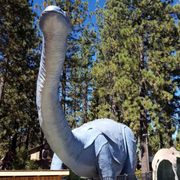 MAGIC CARPET GOLF - 167 Photos & 160 Reviews - 2455 Lake Tahoe Blvd ...