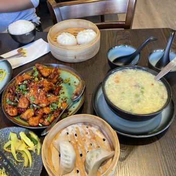 DYNASTY DUMPLING - Updated April 2024 - 237 Photos & 114 Reviews - 2786 ...
