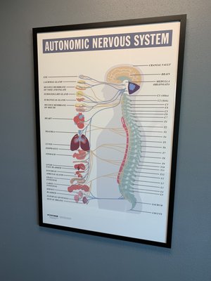 NEELD FAMILY CHIROPRACTIC - Updated October 2025 - 29 Photos - 1850 SW ...
