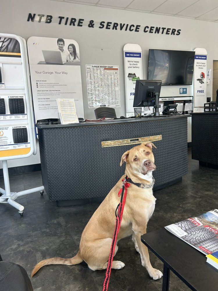 NTB-National Tire & Battery - Updated June 2026 - 13 Photos & 75 ...