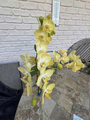 TWO GEORGES DOCKSIDE GRILLE - Updated January 2026 - 102 Photos & 106 ...