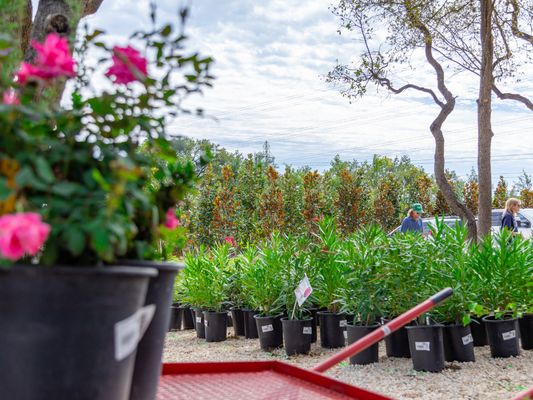 MOON VALLEY NURSERIES - Updated October 2025 - 51 Photos & 65 Reviews - 3550 N Loop 1604 E, San ...