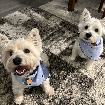 COLLETTI’S - Updated March 2025 - 248 Photos & 369 Reviews - 5707 N ...