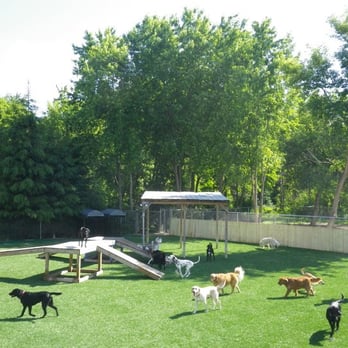 Canp k9 store
