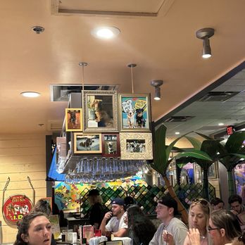 CHUY’S - Updated November 2024 - 105 Photos & 24 Reviews - 2027 Aldrich ...