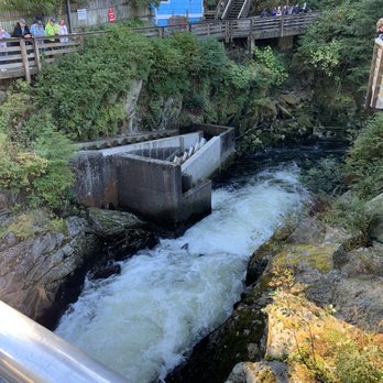 SALMON LADDER VISTA - Updated December 2025 - 25 Photos - 661 Park Ave ...