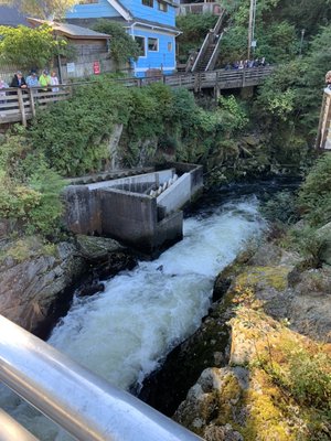 SALMON LADDER VISTA - Updated July 2024 - 13 Photos - 661 Park Ave ...