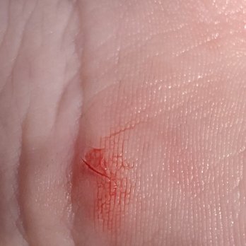 GROVEPORT AQUATIC CENTER - Updated December 2025 - 10 Reviews - 7330 ...