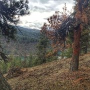 MINERAL RIDGE SCENIC TRAIL - 43 Photos & 11 Reviews - Hiking - 8702 ...