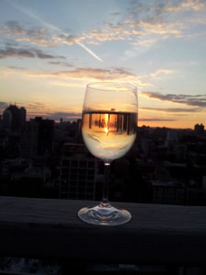 THE PENTHOUSE AT THE HOTEL ON RIVINGTON - Updated August 2025 - 14 ...