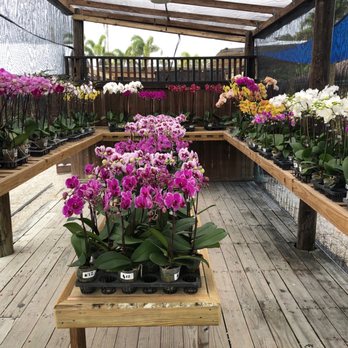 ISAAC FARMS - Updated January 2025 - 446 Photos & 111 Reviews - 18800 ...