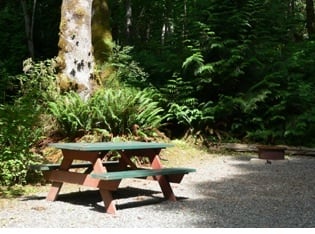 COUNTRY MAPLES RV RESORT - Updated November 2025 - 37 Photos - 9010 ...