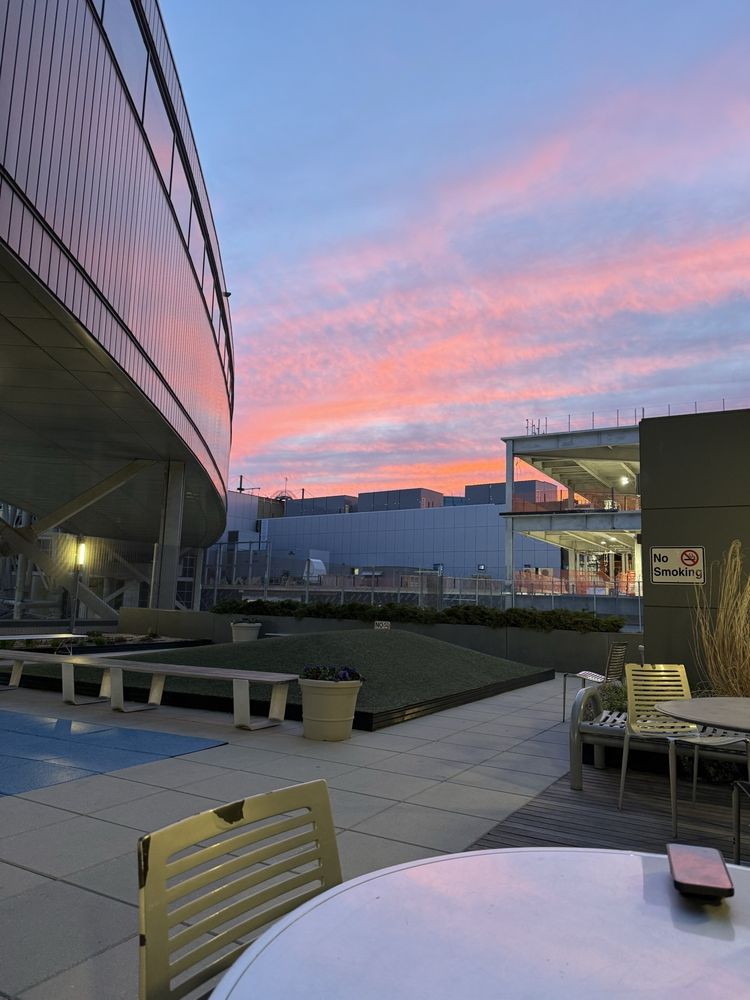 THE T5 ROOFTOP & WOOFTOP LOUNGE - Updated January 2026 - 47 Photos & 24 ...