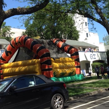 UC DAVIS PICNIC DAY - Updated November 2025 - 163 Photos & 64 Reviews ...