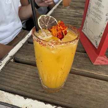 DARLING AVIARY - Updated January 2025 - 781 Photos & 644 Reviews - 712 ...