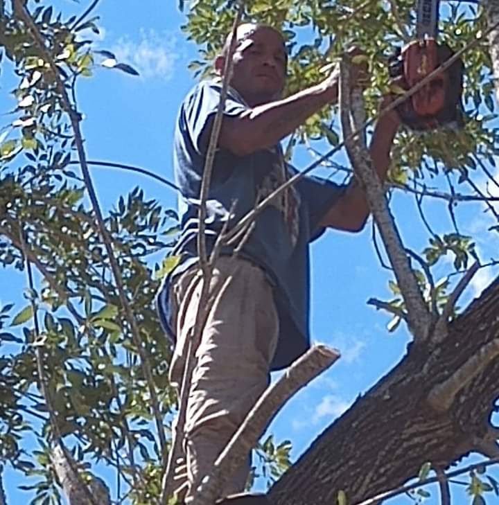 MONKEY TREE SERVICE EXPERT - Updated May 2024 - Request a Quote - 3004 Houston Hwy, Victoria ...