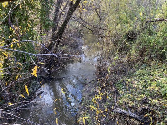 DON CASTRO REGIONAL RECREATION AREA - Updated January 2026 - 401 Photos ...