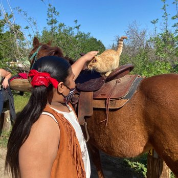 THE DINGLE FAMILY FARM AND STABLES - Updated February 2025 - 535 Photos ...