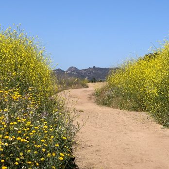 GUAJOME REGIONAL PARK - Updated July 2024 - 369 Photos & 135 Reviews ...