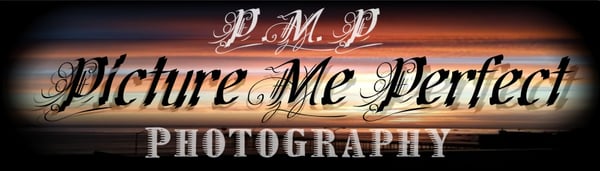 PICTURE ME PERFECT PHOTOGRAPHY - 212 Jana Way, American Canyon, CA - Yelp