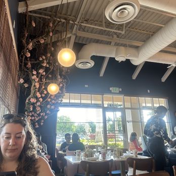 LITTLE HEN - 1167 Photos & 604 Reviews - 4579 Weston Rd, Weston ...