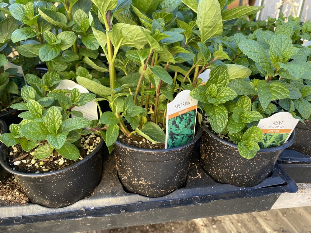 DIAMOND FRESH FARMERS MARKET - Updated January 2026 - 697 Photos & 360 ...