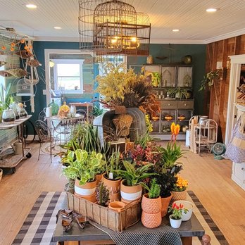 ROOTED IN - Updated January 2026 - 39 Photos & 13 Verified Reviews ...