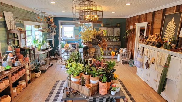 ROOTED IN - Updated January 2026 - 39 Photos & 13 Verified Reviews ...