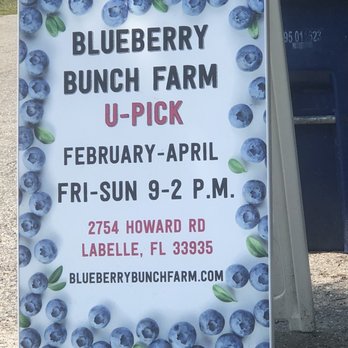 BLUEBERRY BUNCH FARM - TEMP. CLOSED - Updated October 2025 - 98 Photos ...